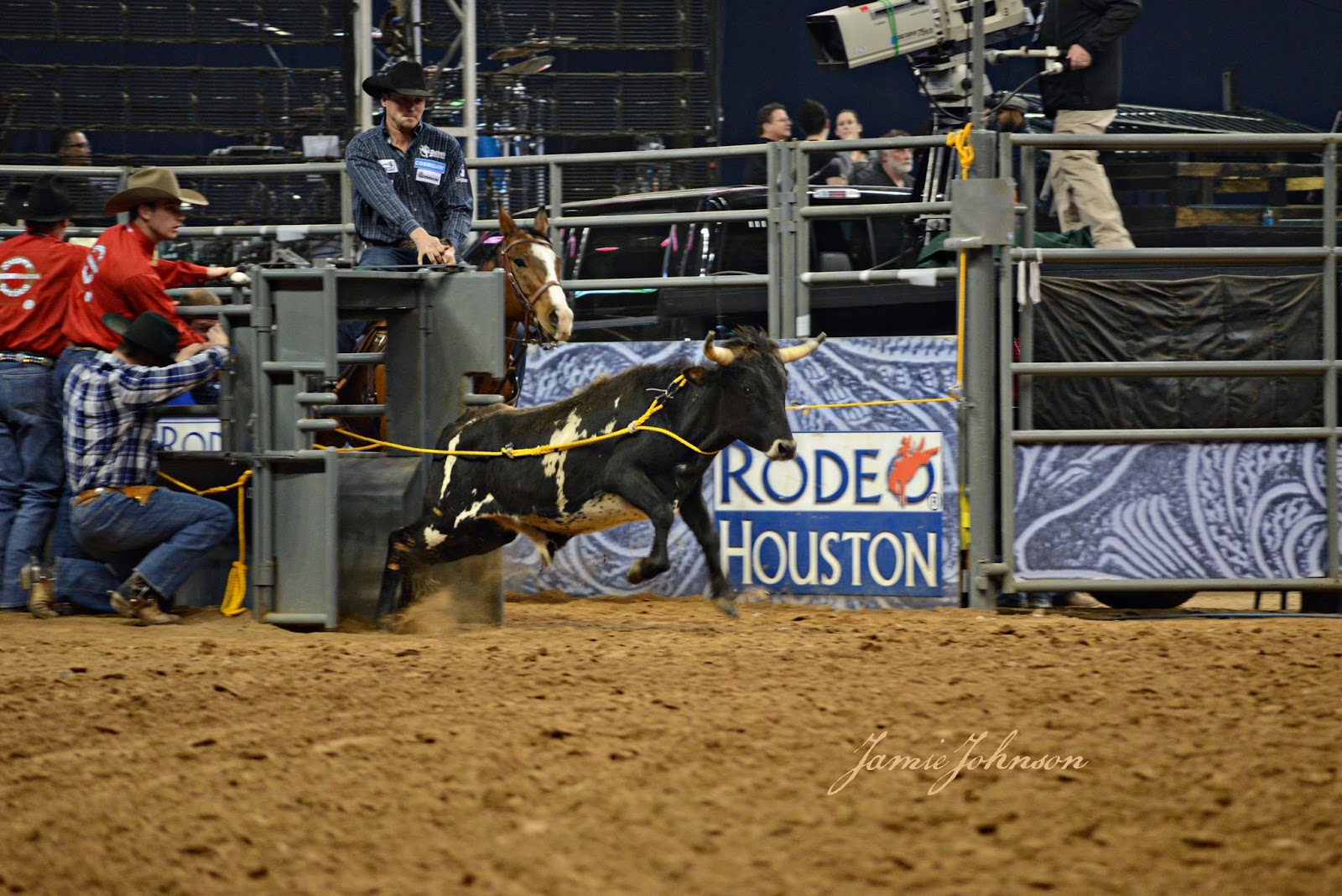 JAMIE JOHNSON -Photographer: Humble Kingwood Houston Dallas TX Cowboy ...