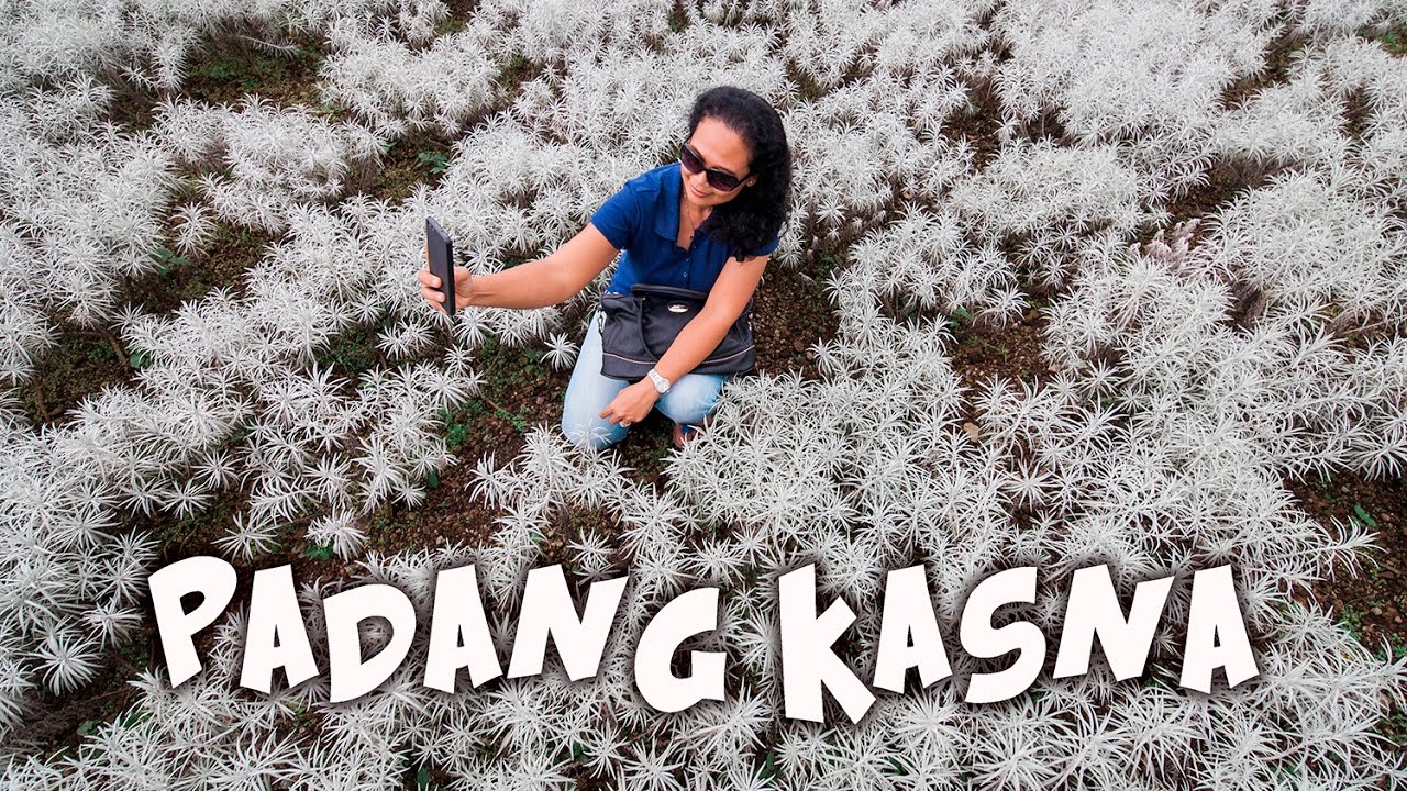 Objek Wisata Menarik Padang Bunga Kasna Desa Tembukus, Karangasem