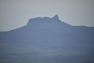 Mendiko osterak: Arnaba zirkularra Gastiain herritik