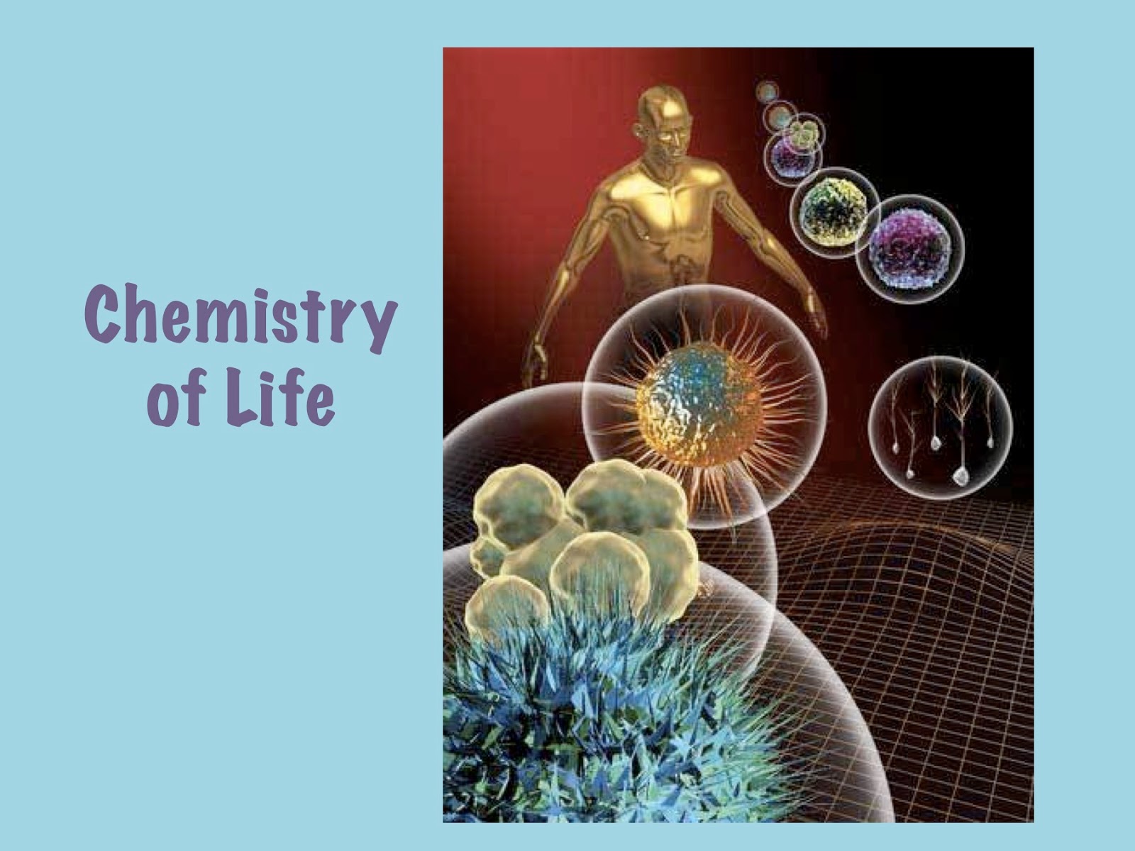 EC Honors Biology: Chemistry of life intro