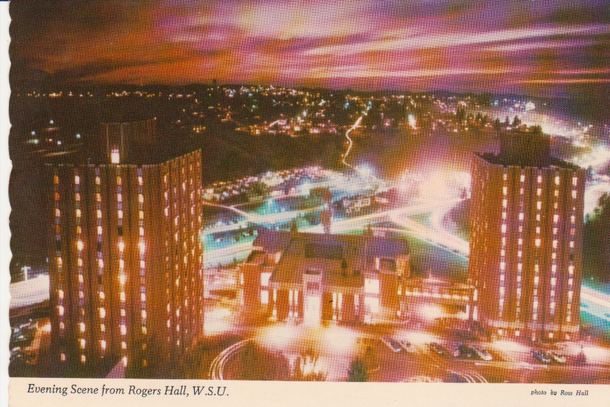 Editorials from Theslowlane: 07/01/2009 - 08/01/2009