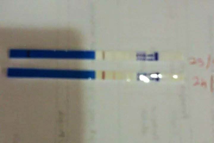 PREGNANCY TEST (UPT) MURAH GALLERY | Ovulation test kit (opk ...