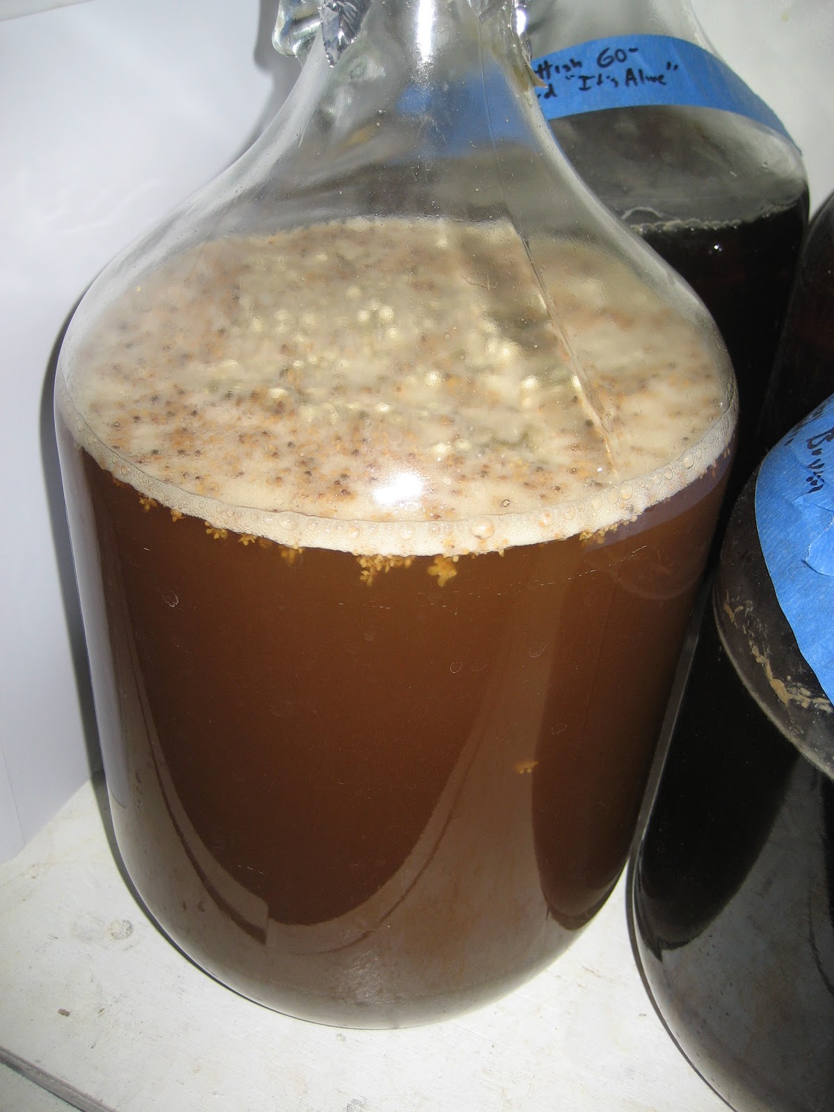 Bikes, Beer, and Adventures: Experimental Beer: Native Plant Gruit Ale