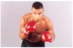 The Sport of Boxing : Physics Summary! - Physics Diaries