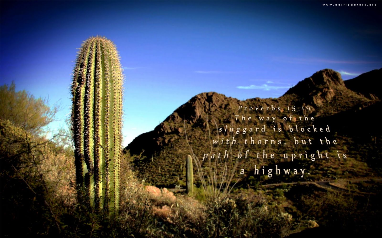 Proverbs 23 18 19 Kjv Proverbs 23 18 19 Kjv