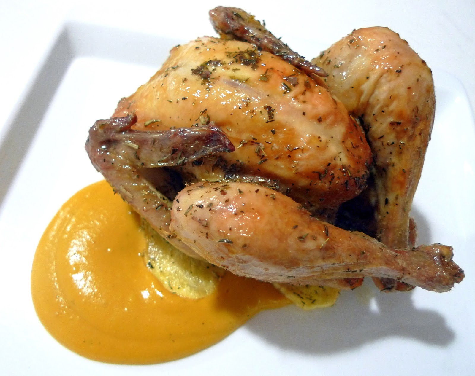 - j u v a n j o r -: Gallo, gallina, pollo y sus variantes