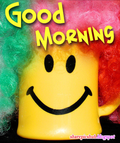 Good Morning Funny Image For Facebook | Lovely Good Morning Greeting ...