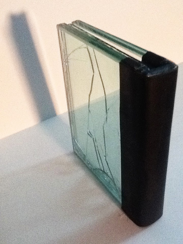 Glass Garden: Glass Books