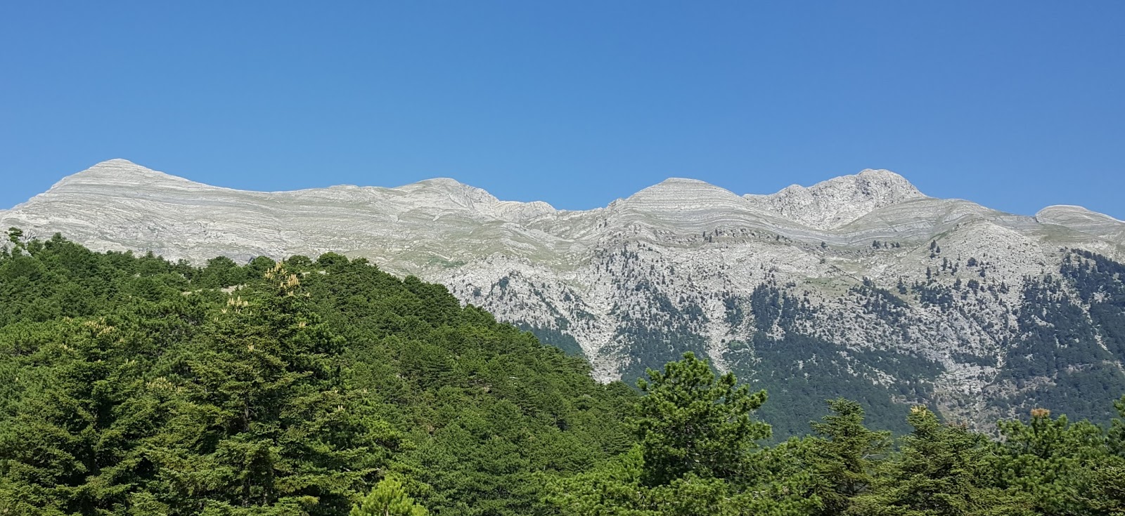 Mountain Lyricism: Alcman of Sparta, Mount Taygetos and Toriza or Alkmanion