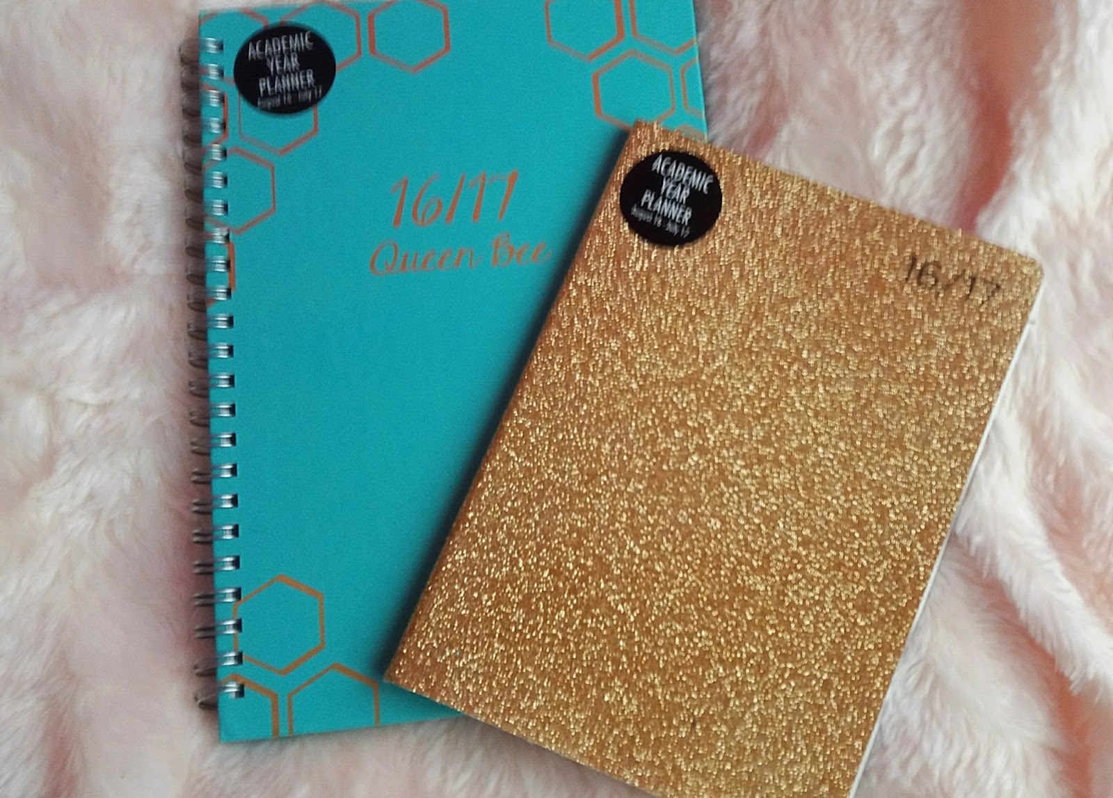 Day 16 My Winter Break Bucket List Chelle Belle day-16-my-winter-break-bucket-list-chelle-belle