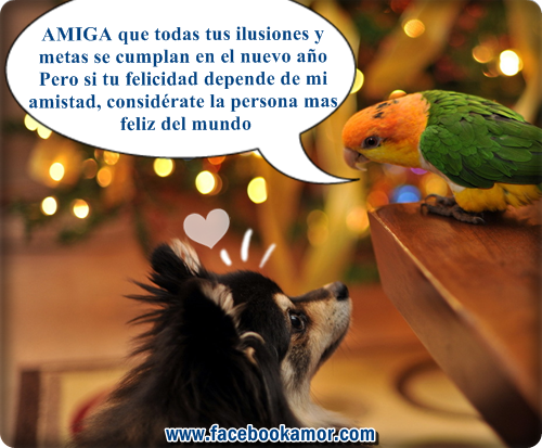 Postales divertidas y bonitas | Imagenes de amor bonitas