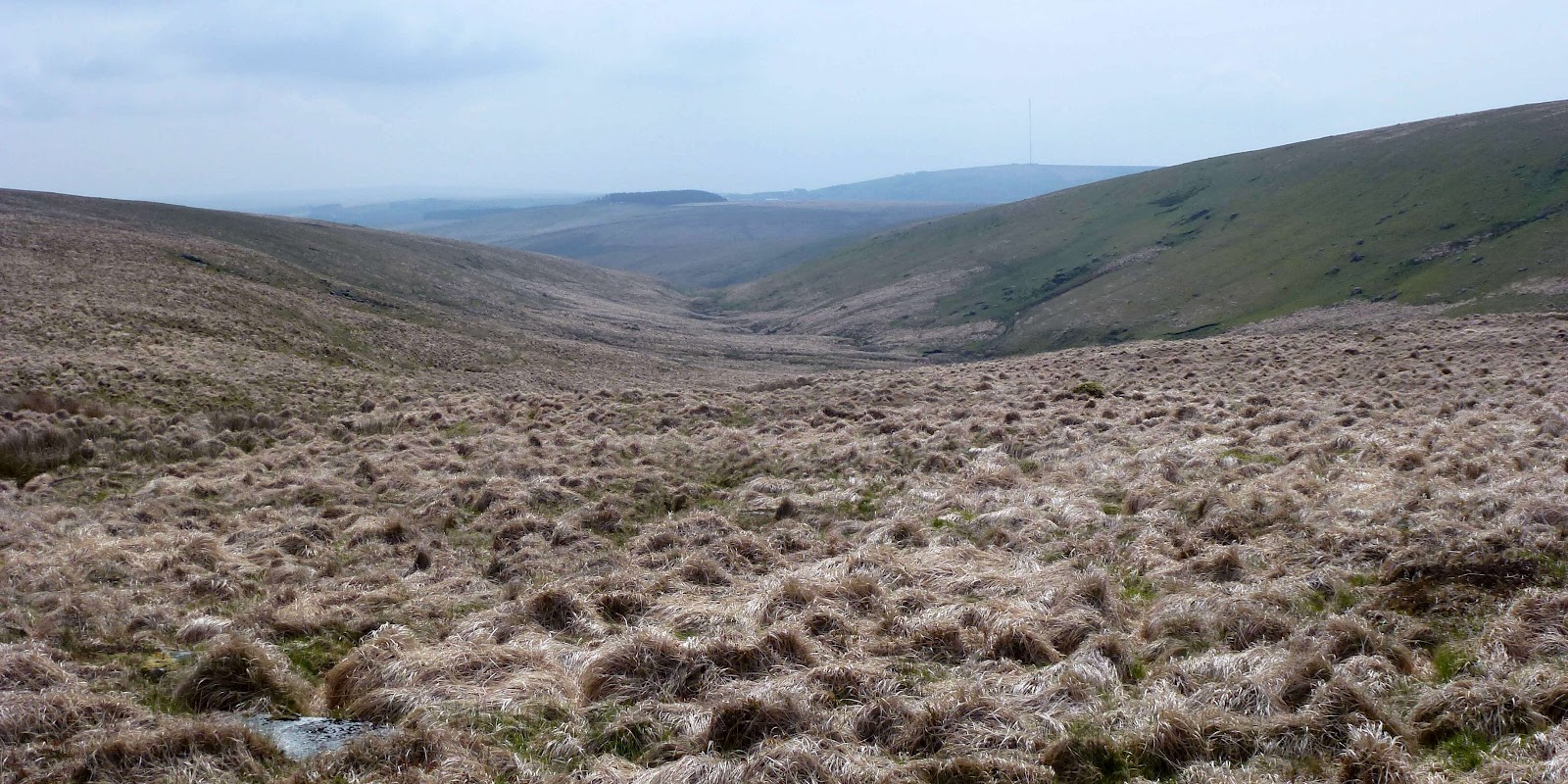 My Dartmoor Walks: Sunday 20th May Crow Tor