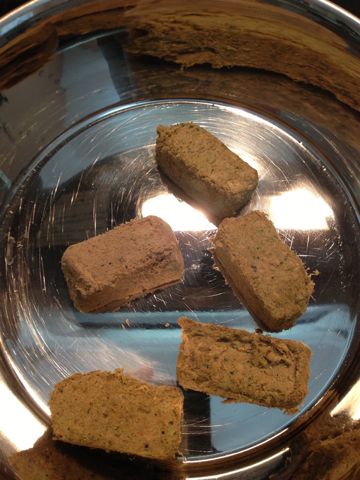 Leaping Lizards! 2 Weeks on a Raw Food Diet | Oz the Terrier ...