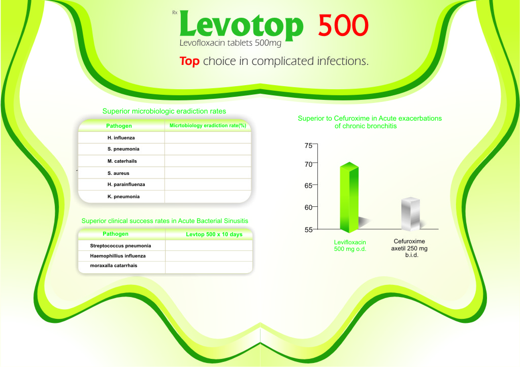 Portfolio: Four Page LBL Design