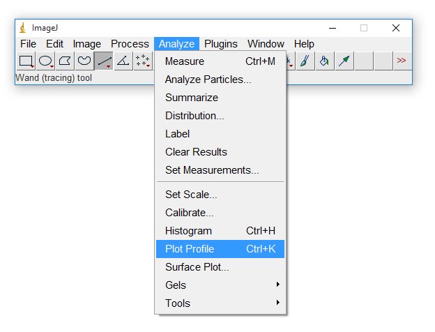 My imageJ: Plot Profile แสดงการ plot กราฟ ของชุดข้อมูลที่เลือก ง่ายและ ...
