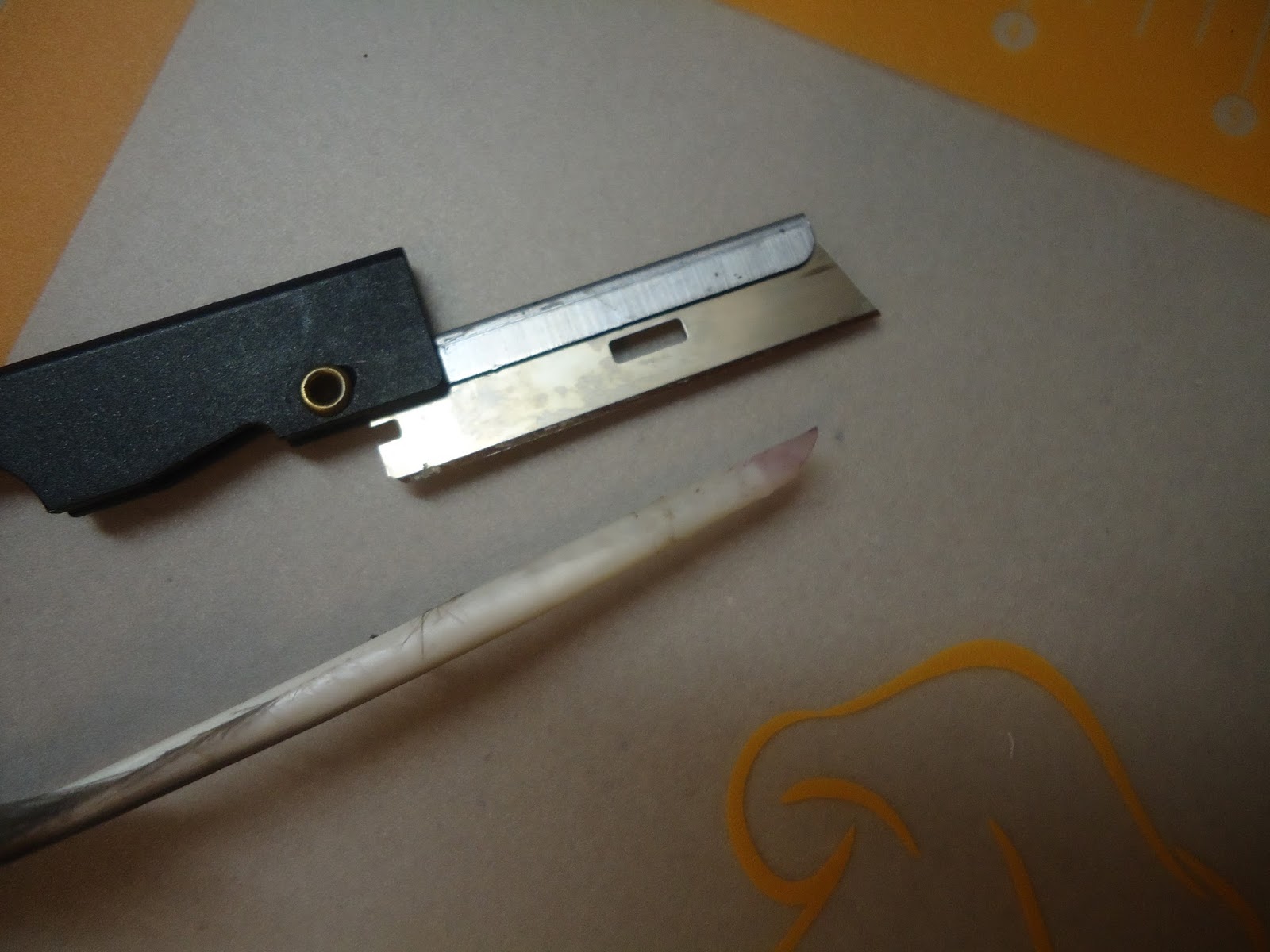 At Home In Logs: Homemade quill and blueberry ink