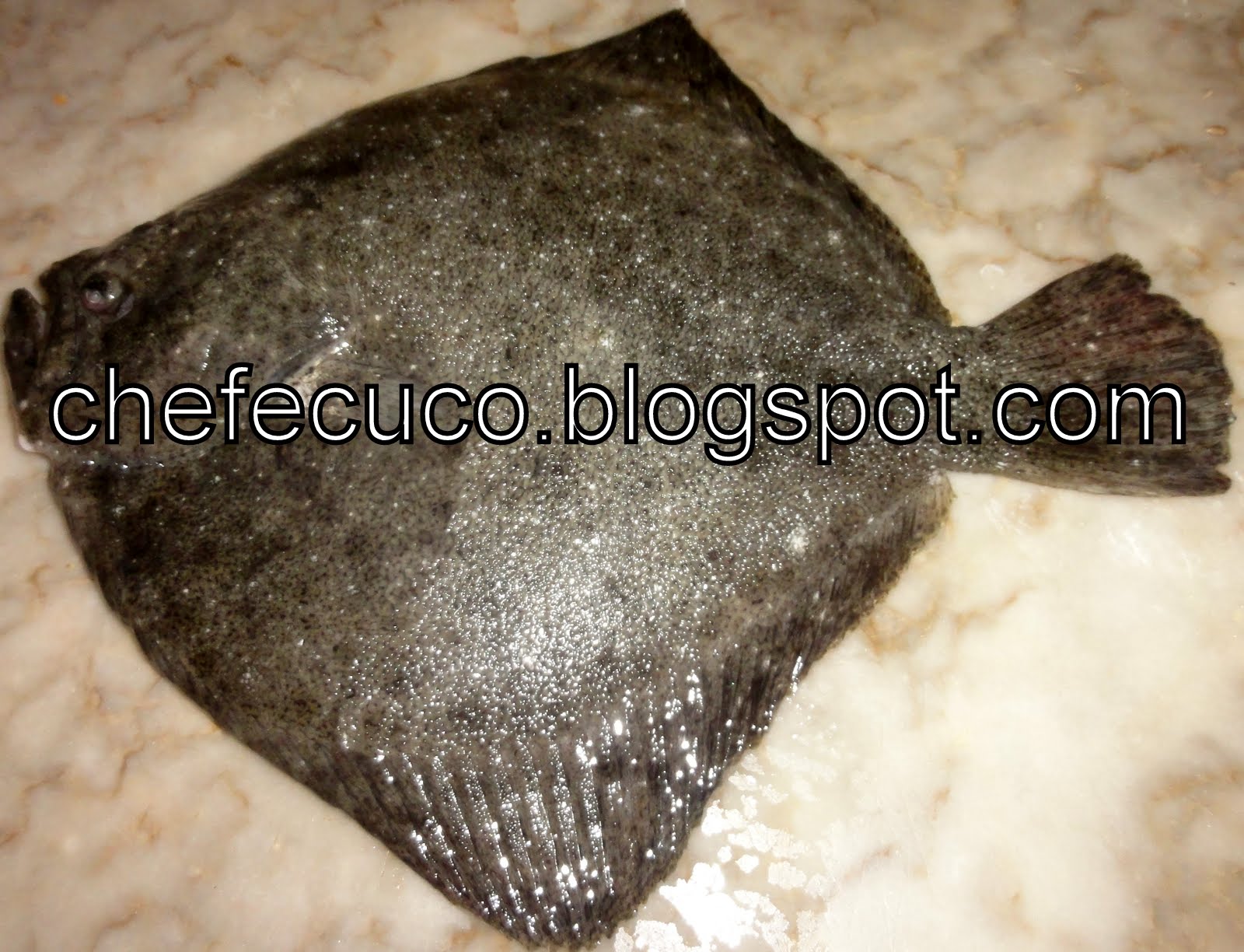 O mundo da culinária: Pregado recheado com camarão e molho holandês