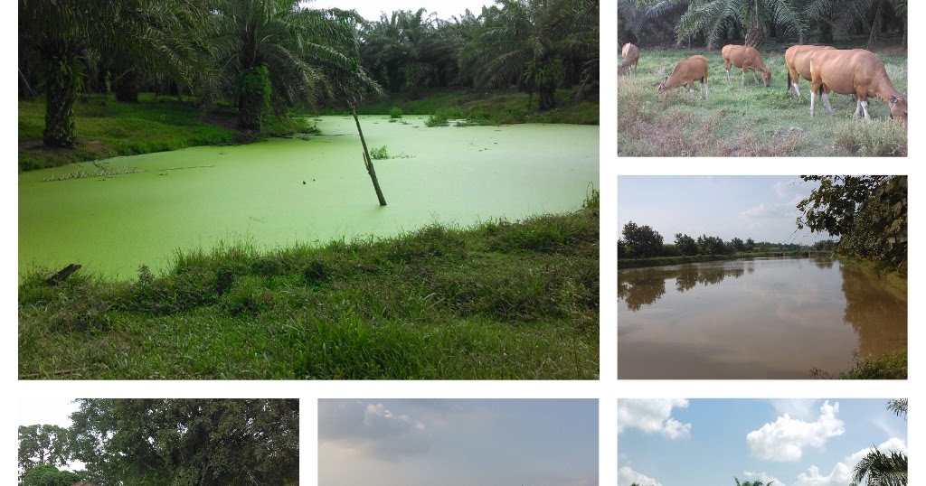 Bekri, Lampung Tengah: Dulu dan Kini