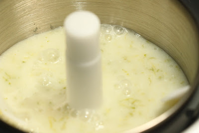 Baking is my Zen: Lime Gelato ~ So Tangy