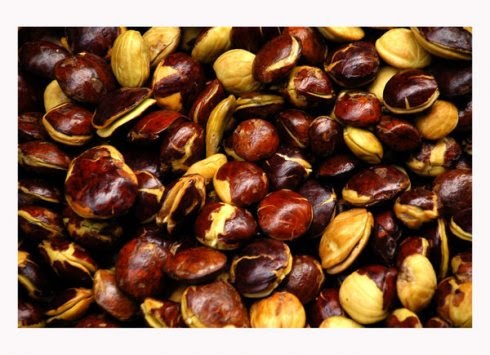 healthy with traditional healing: jengkol benefits (Archidendron ...