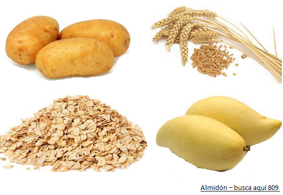 EL ALMIDÓN - Enciclopedia de Tareas