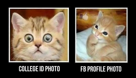 Funny Pictures: Facebook Funny Profile Pictures, Facebook Funny Picturs ...