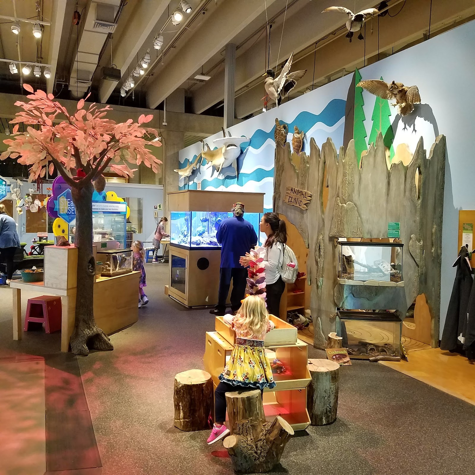 Play St. Louis: St. Louis Science Center, St. Louis City