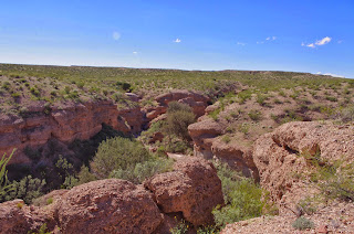 Southern New Mexico Explorer: Spring Canyon- Robledo Mountains