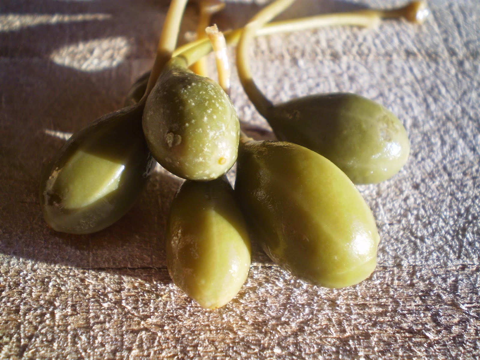 vinotava1: KAPERI - KAPERU ZIEDPUMPURI UN KAPEROGAS