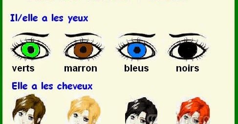 Comment es-tu? Comment sont-ils?: Tu as les yeux de quelle couleur? Il ...