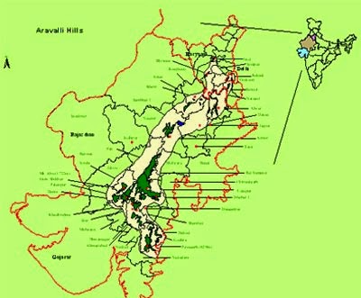 My City's Environment