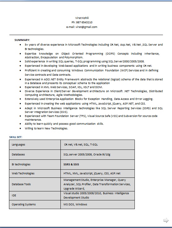 .Net Developer Resume Examples in Word Format Free Download
