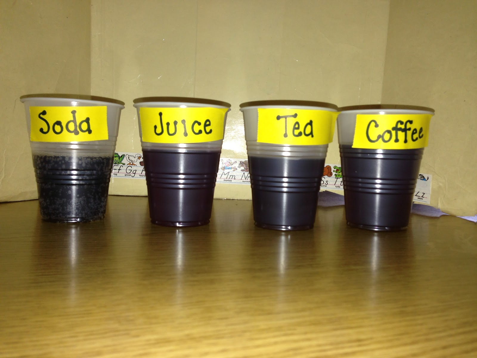 Frugal in First: Science Fair