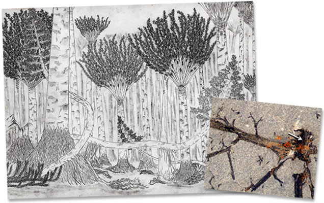 bensozia: The Fossil Forest of Gilboa