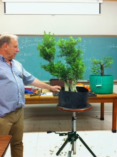 Bonsai Society of Acadiana: June 23,2014- Bonsai with David Easterbrook