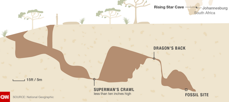 Paleoantropología hoy: Homo naledi