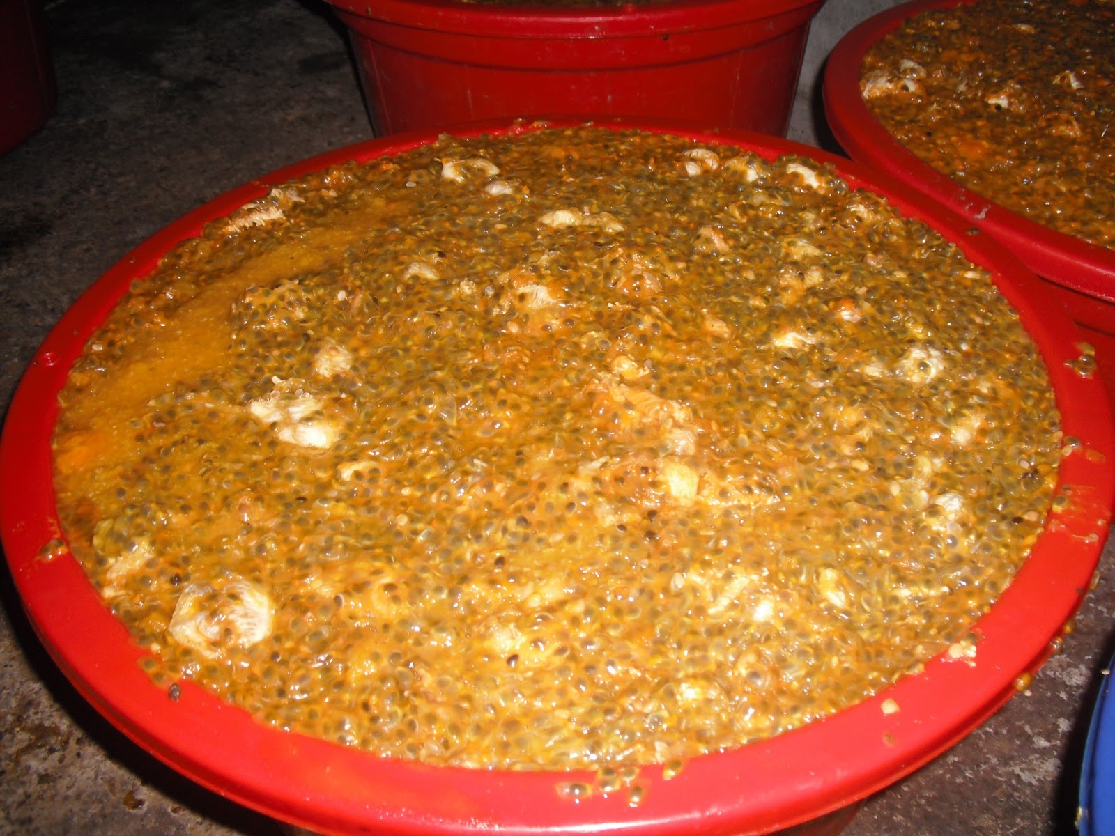 Bubur Buah Markisa/ Passion fruit Pulp Center : Product