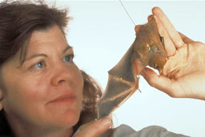 Laura Demarest's Instagram, Twitter & Facebook on IDCrawl