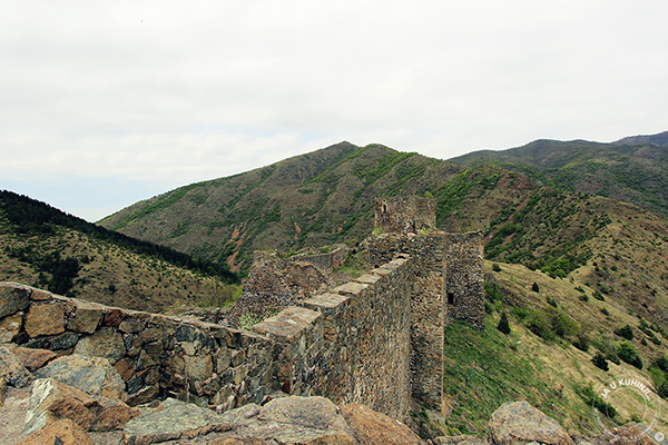 JA U KUHINJI...: Dolina jorgovana - Filija (flija, redača)