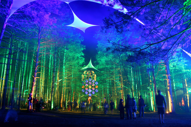 Glow Sticks: Electric Forest