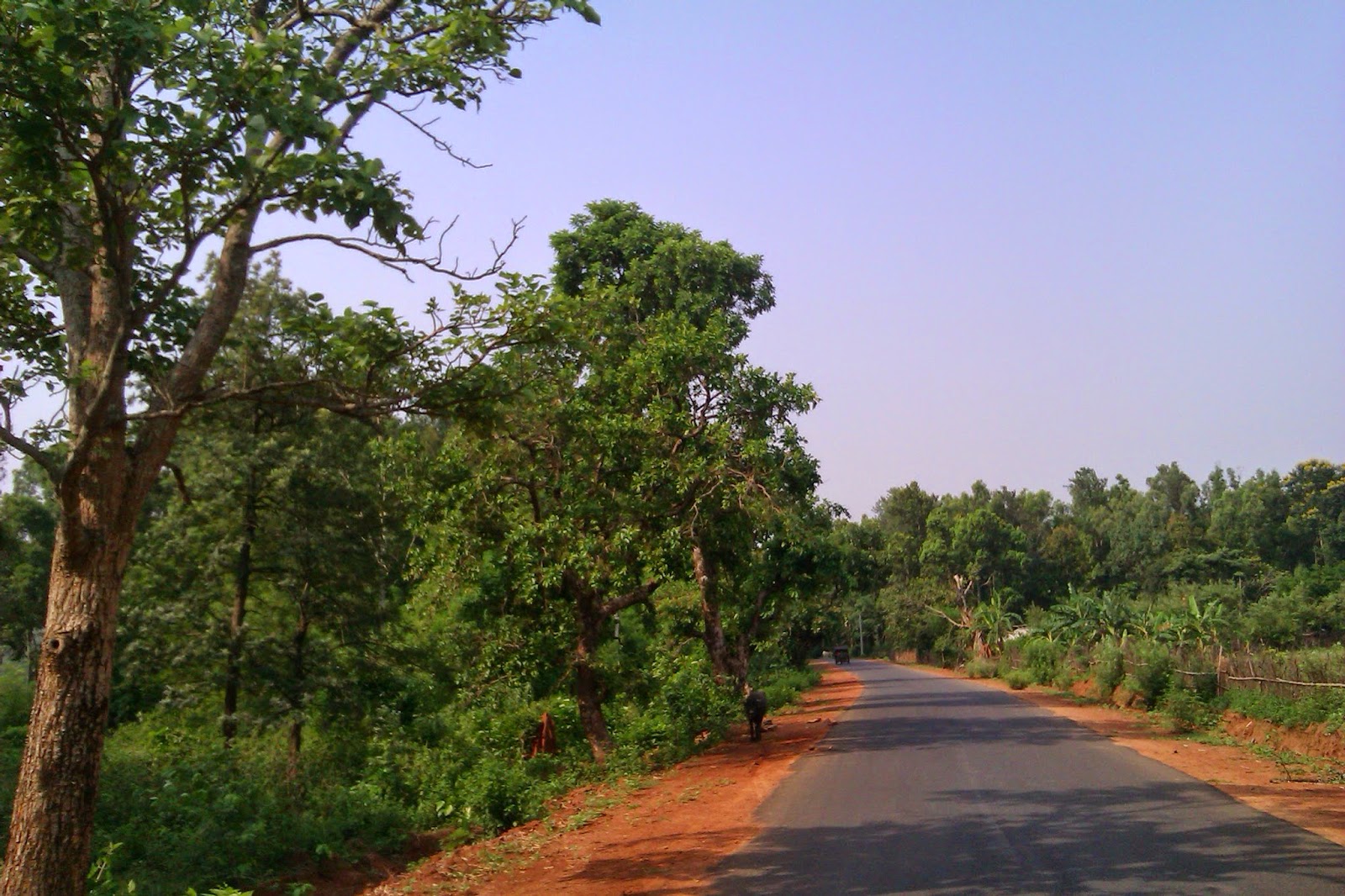 Daringbadi:a trip to remember: Daringbadi:The True HEAVEN Of Odisha
