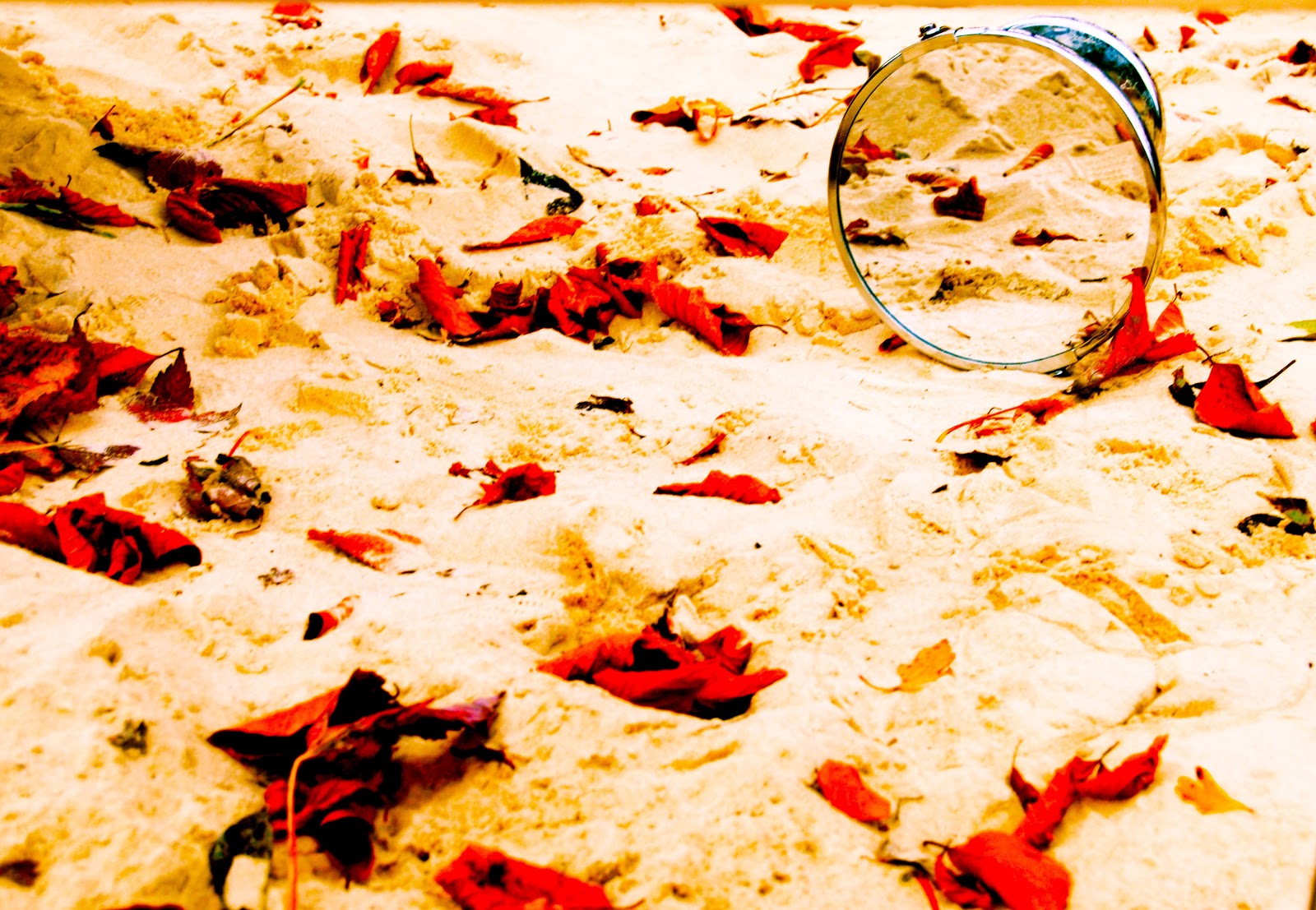 Reflective log Pam Tierney