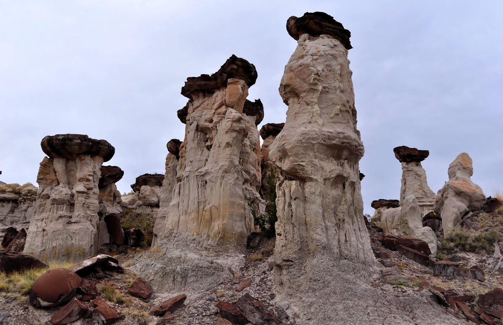 Les voyages de Michèle et Jean-Michel: Lybrook Badlands