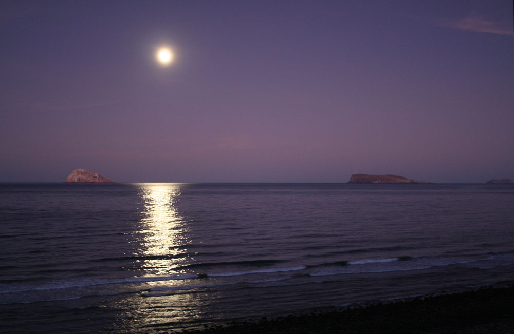 vizle100: Moonlight "Extreme Beauty of Nature"