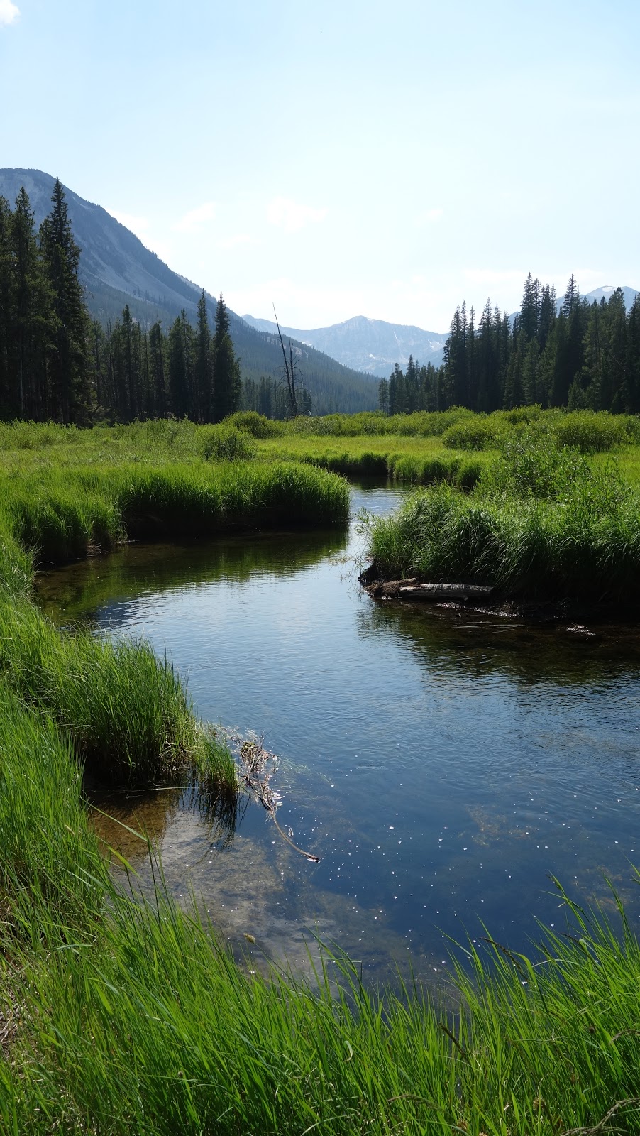 Across the Wilderness: Continental Divide Trail: Bannock Pass - Chief ...
