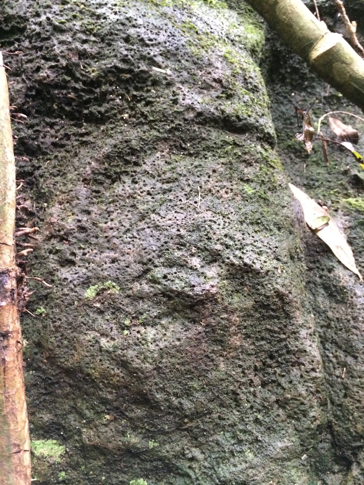 Pohukaina Cave: Nuuanu Pohaku Hunter