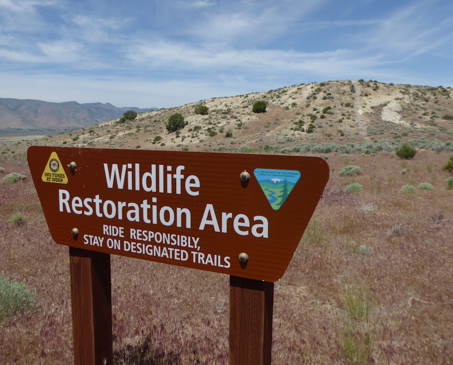 Official Quiet Warrior Racing Blog: Trail Enthusiasts Strike Gold at ...