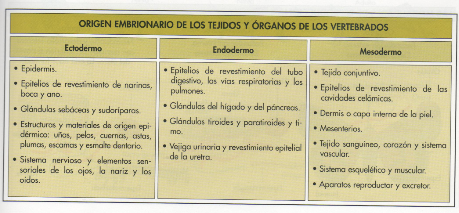 Biología para zanakas: 15.- Función de reproducción