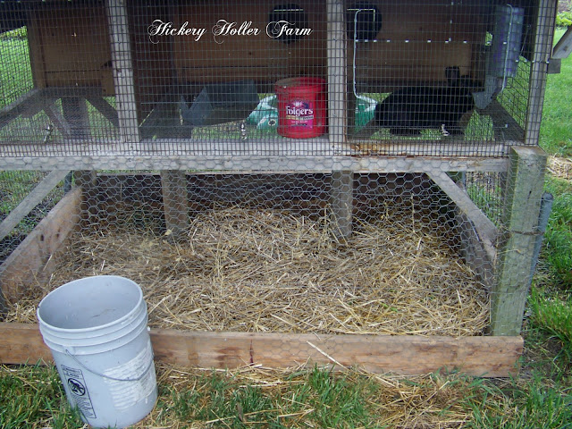Hickery Holler Farm: Rabbit Hutch Improvements