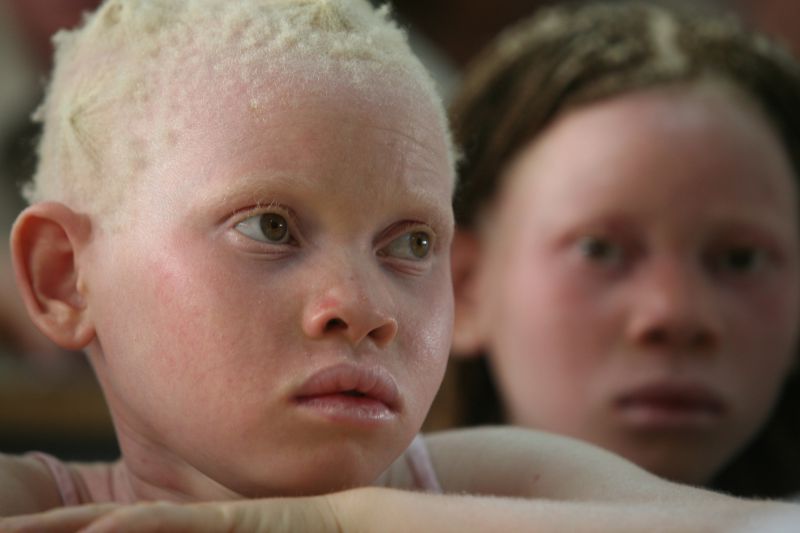 Conosaba do Porto: GUINÉ-BISSAU ASSINALA PELA PRIMEIRA VEZ DIA DA ...